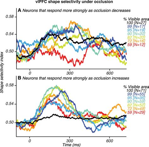 Figures And Data In Dynamic Representation Of Partially Occluded