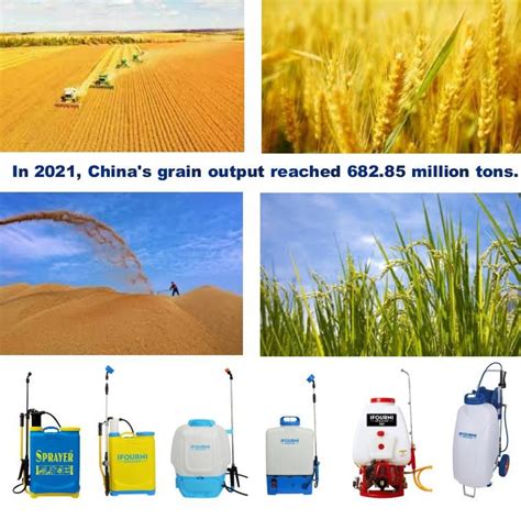 Paul Jiang On Linkedin In 2021 Chinas Grain Output Hit A Record High
