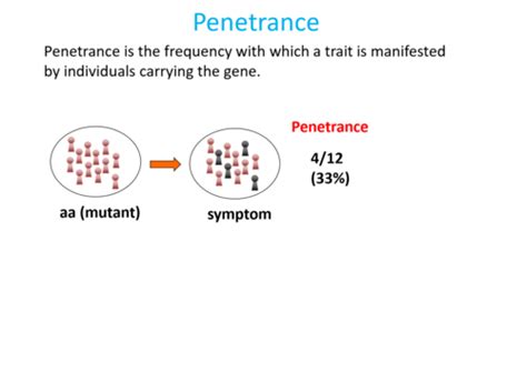 Non Mendelian Inheritance Flashcards Quizlet