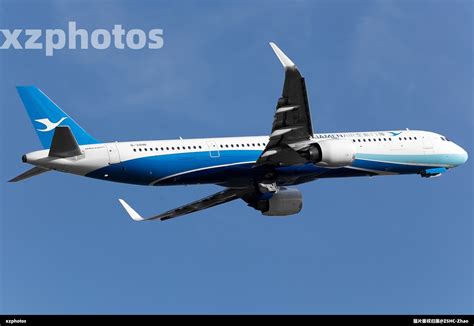 白鹭 Xzphotos 图库