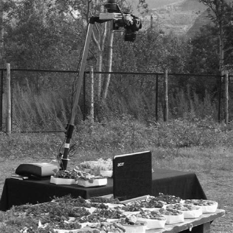 A Experiment Design The Spectroradiometer Is Installed Above The