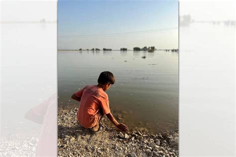 النوه يفوز بالمركز الثاني لأفضل صورة إنسانية جريدة الجريدة الكويتية