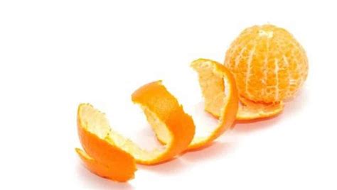 ¿cuántos Tipos De Mandarinas Hay