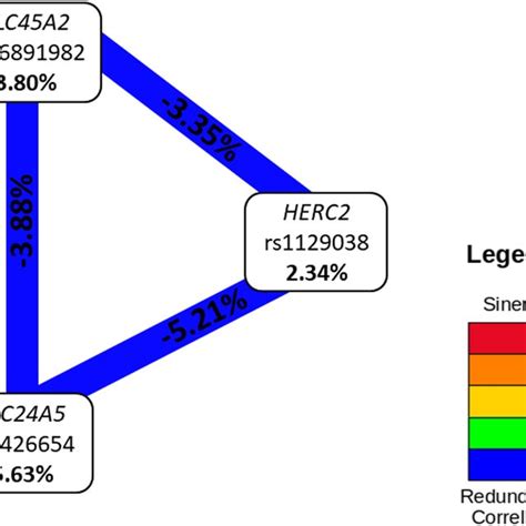 multifactor dimensionality reduction mdr interaction models