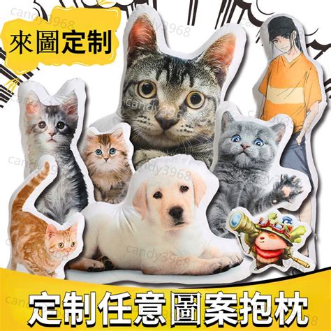 客製化抱枕 卡通寵物 異形枕 造型 仿真抱枕 立體寵物抱枕 抱枕 訂做抱枕 來圖客製 蝦皮購物
