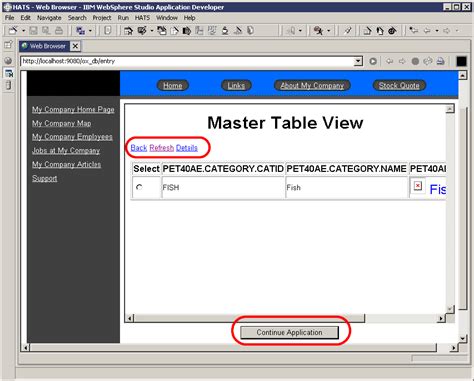 Testing The Application Using Ibm Websphere Host Access