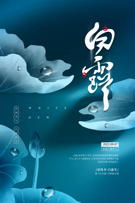 二十四节气白露蒹葭苍苍白露为霜 知乎