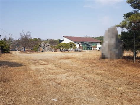 R22620 파주 All 대 약2470평 마당넓은 단독가든 상가 임대 매물 무권리 건물 2개동 각100여평