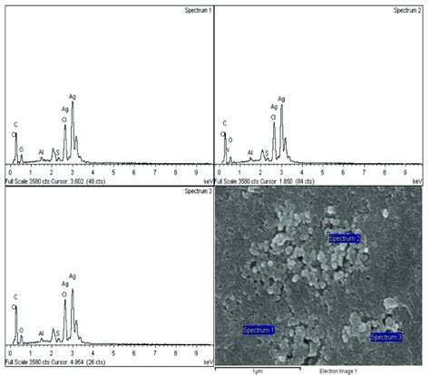 Edx Spectra Of Synthesized Agnps And Fesem Micrograph Showing Edx