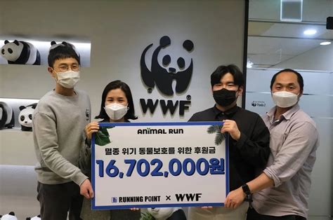 점핏 Ios 러닝 앱 개발자 채용