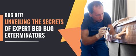 Bug Off Unveiling The Secrets Of Expert Bed Bug Exterminators Texas
