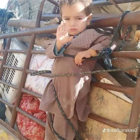 Hamdullah Hamdard On Linkedin Thousands Of Afghan Refugee Families Are Being Sent Back From