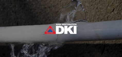 Introducing Apex Restoration Dki To Dki Pros Dki Services