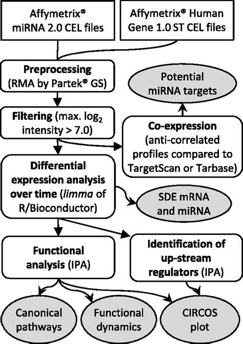 Graphical Representation Of The Computational Workflow In The First