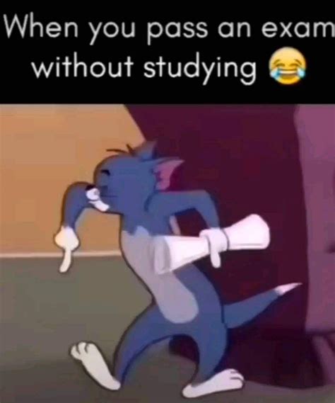 Tom And Jerry Memes Stupid Funny Memes Looney Tunes Art Sketches