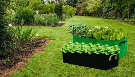 Sizes Of Grow Bags At Louise Costa Blog