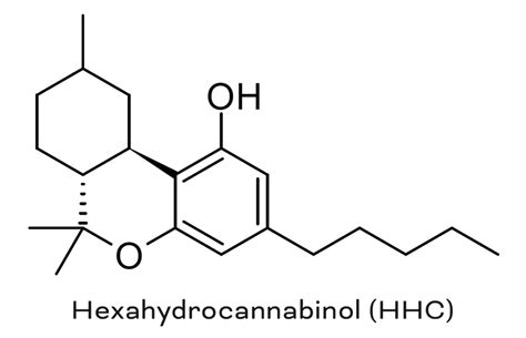 What Is Hhc — Highnorth Mn