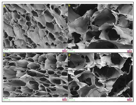 Field Emission Scan Electron Microscopy Of The Composite Surface At A