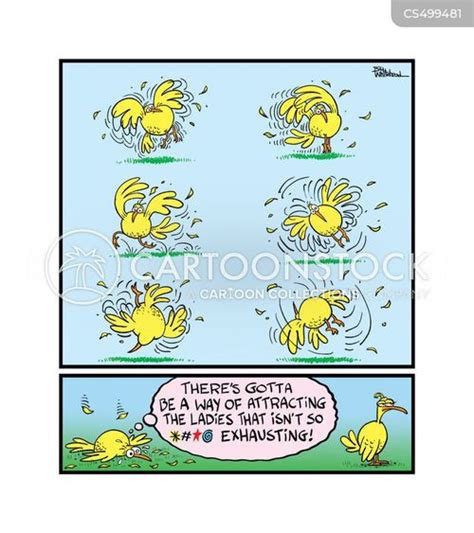 Mating Dance Cartoons And Comics Funny Pictures From Cartoonstock