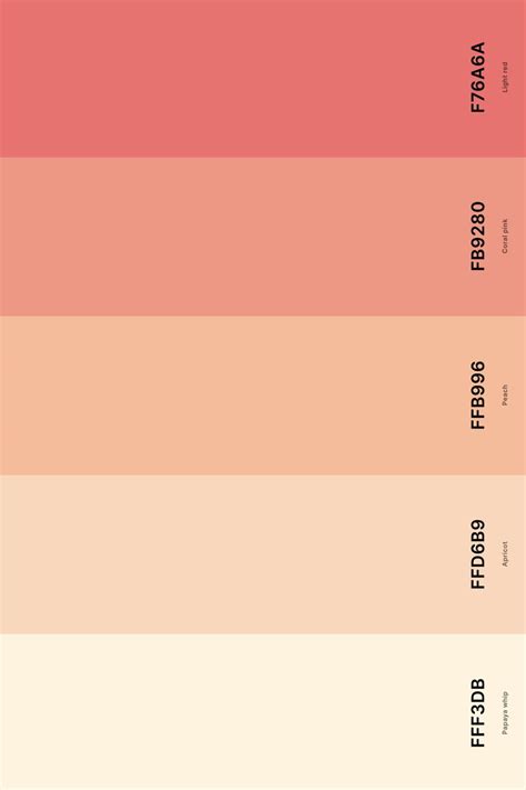 Peach Color Palette Artofit