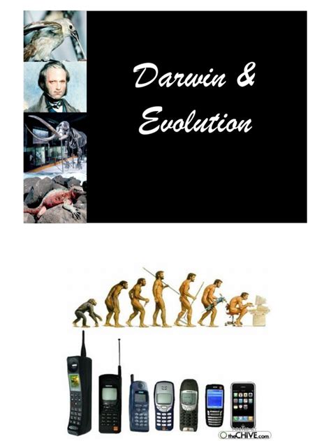 2darwin And Evolution Pdf Evolution Natural Selection