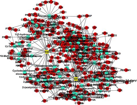 Herb Compositive Compound Putative Target Network Edges Interactions