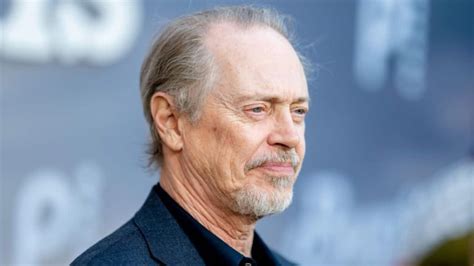 Steve Buscemi Punched In The Face In Manhattan Gets Hospitalised