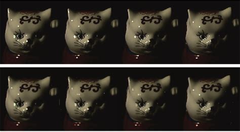 Side By Side Comparison Of Input Images And Rendered Images With