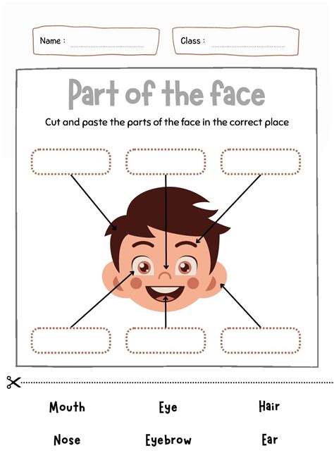 The Parts Of Face Xppp