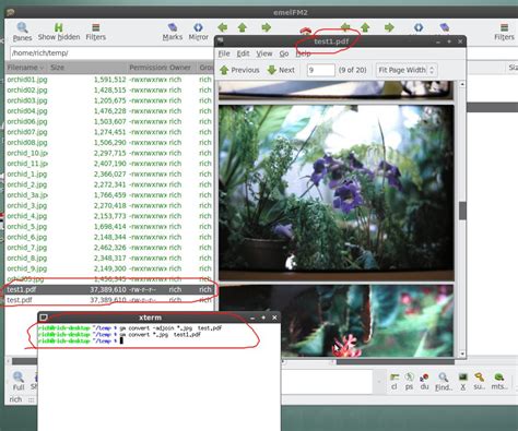 Imagemagick S Convert Won T Batch Multiple S To Pdf Linux Mint Forums
