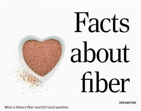 Facts About Fiber