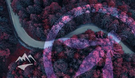 Empower Your Developers Secure Your Apis Free Owasp Top 10 Training