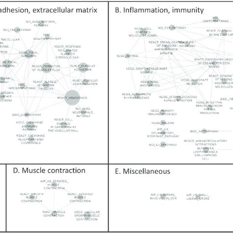 Enrichment Map Of The Gene Set Enrichment Analysis Gsea Reflecting