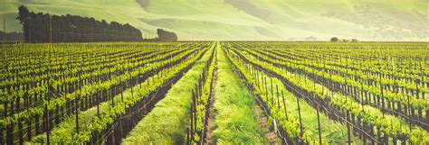 Regression Coefficients How To Calculate Them Outlier