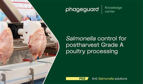Salmonella Intervention For Grade A Poultry Processing Phageguard