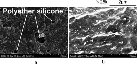 Scanning Electron Microscope Image Of Paa Bonded Cda Composite