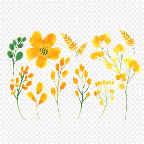 黄色的油菜花免抠下载png图片素材下载图片编号yamzpmjy 免抠素材网