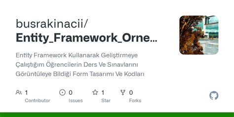 Github Busrakinacii Entity Framework Ornek Ogrenciderspaneli Entity Framework Kullanarak