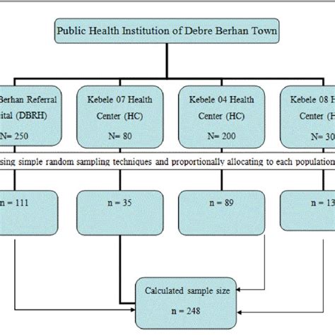 Flow Chart Indicating Sample Processes Of Postpartum Women Among Debre Download Scientific