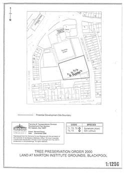 Tree Preservation Order TPO034