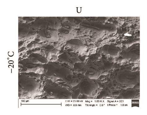 Sem Fracture Surfaces Of Crack Initiation Zone In Specimens With Download Scientific Diagram