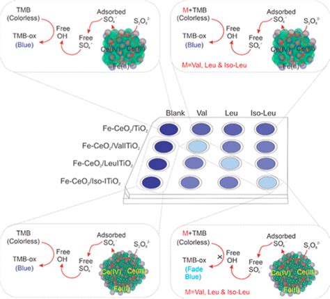 Prussian Blue Analogues Derived Molecularly Imprinted Nanozyme Array