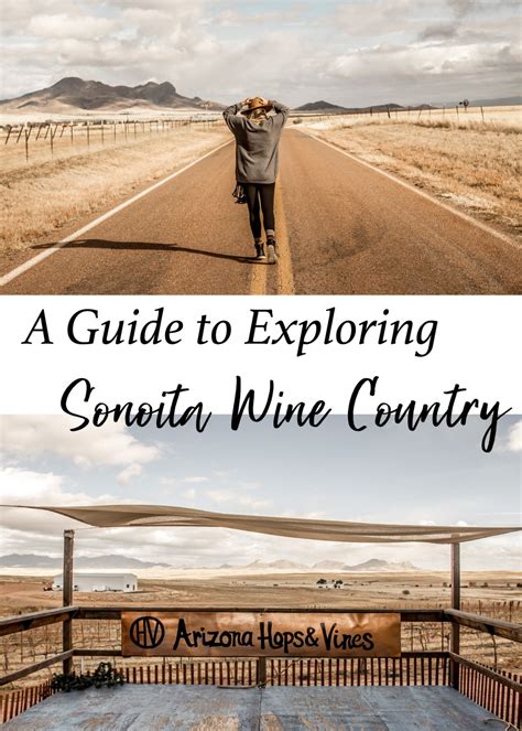 A Guide To Exploring Sonoita Wineries Bad Tourist Travel And Lifestyle