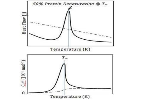 Differential Scanning Colorimetry Dsc Pptx