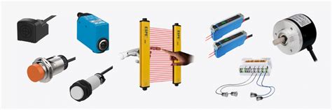 Pt100 Duplex 6 Wire Resistance Temperature Detector Rtd Kne Head Kohinoor And Co