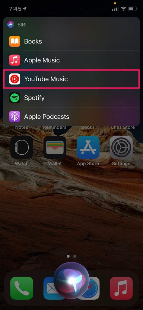How To Set Default Music App On IPhone IPad