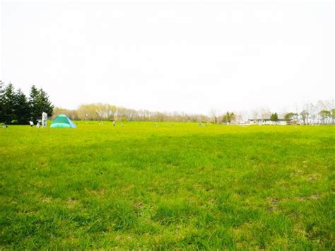Parkful
