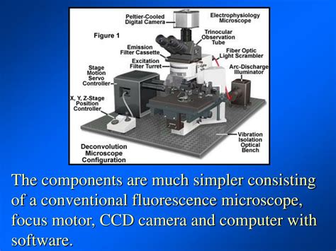 Ppt Deconvolution Microscopy Powerpoint Presentation Free Download