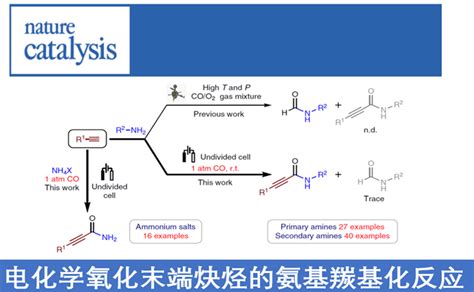 武汉大学雷爱文教授课题组nat Catal ：电化学氧化末端炔烃的氨基羰基化反应 化学空间 Chem Station