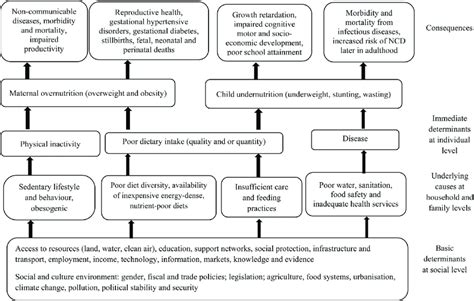 Conceptual Framework For The Determinants And Outcomes Of The Dual Download Scientific Diagram